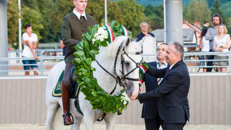 NEM STADION! - Átadták Közép-Európa legmodernebb lovasközpontját ...